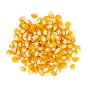 Maíz Pisingallo - Tienda Online El Banquito